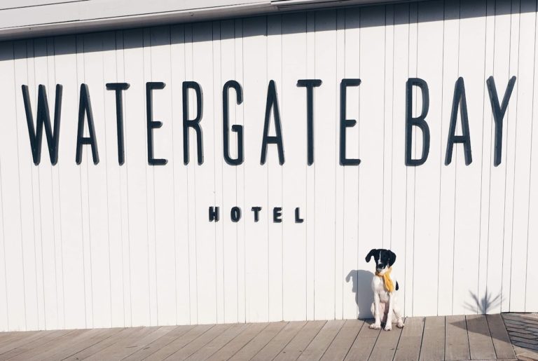 Watergate Bay Hotel: Happy Mum, Happy Kids: A Family Review - Kids to ...