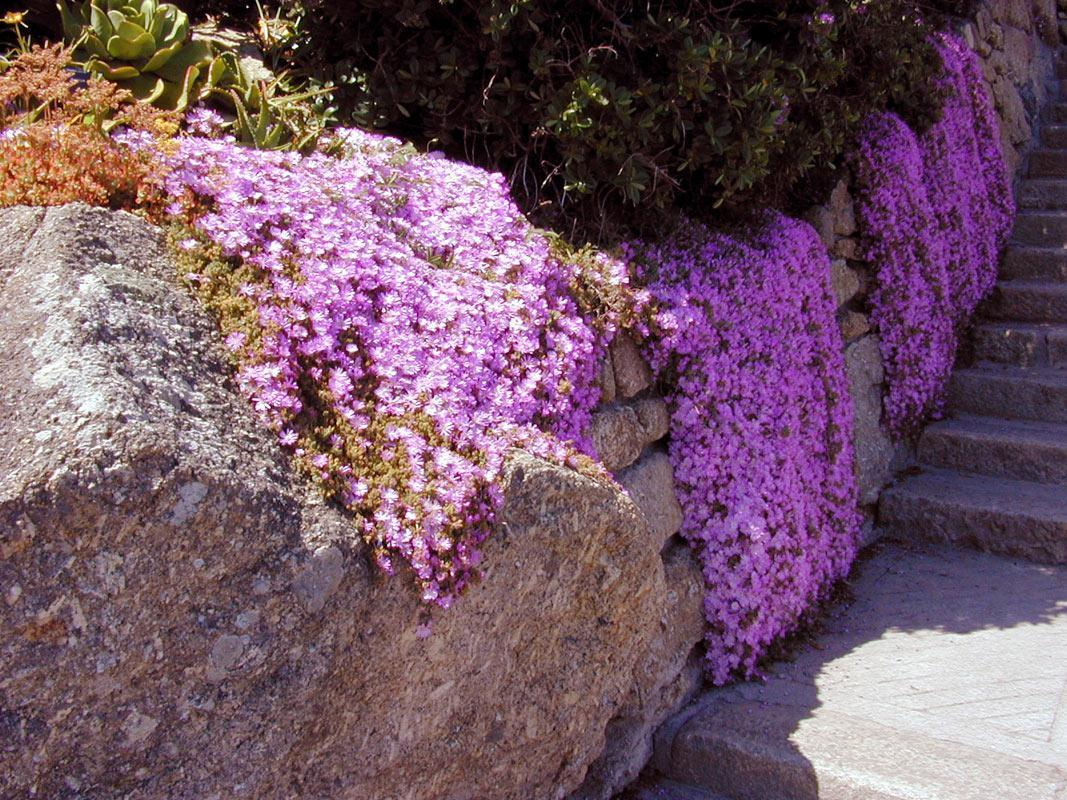 The Minack Theatre: The Perfect Family Day Out