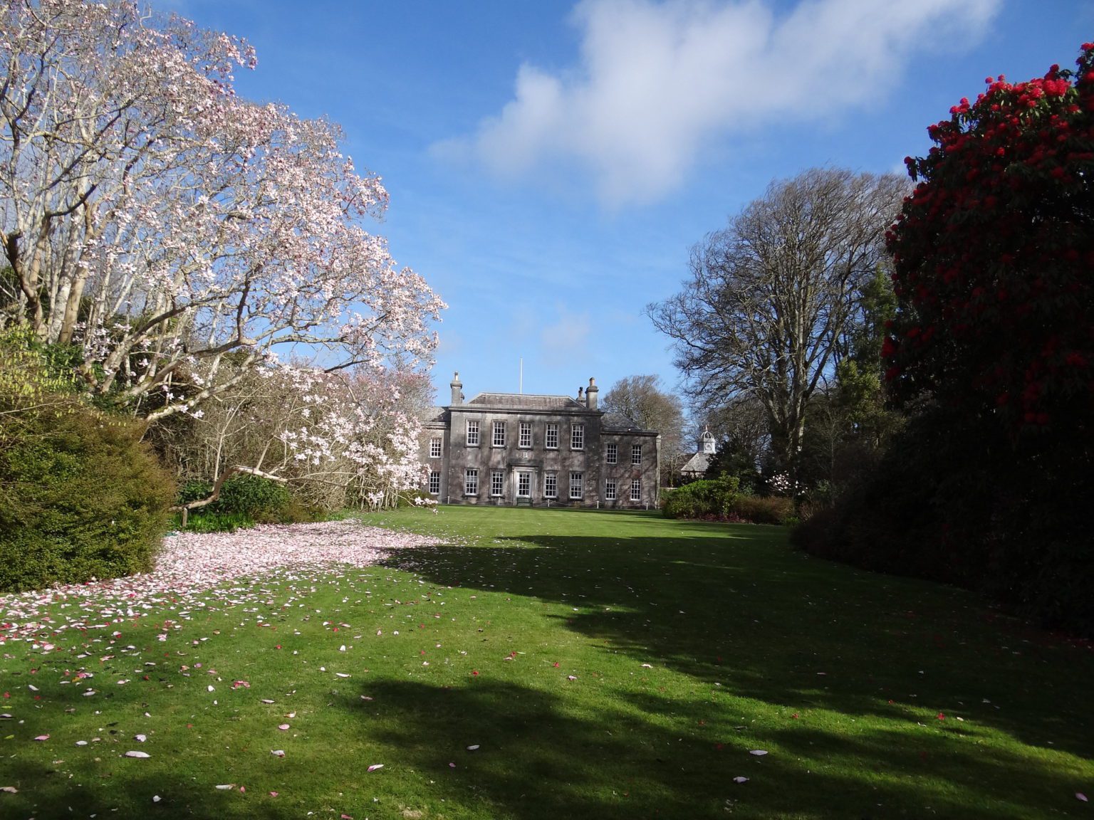 11 Amazing Gardens in Cornwall to Visit